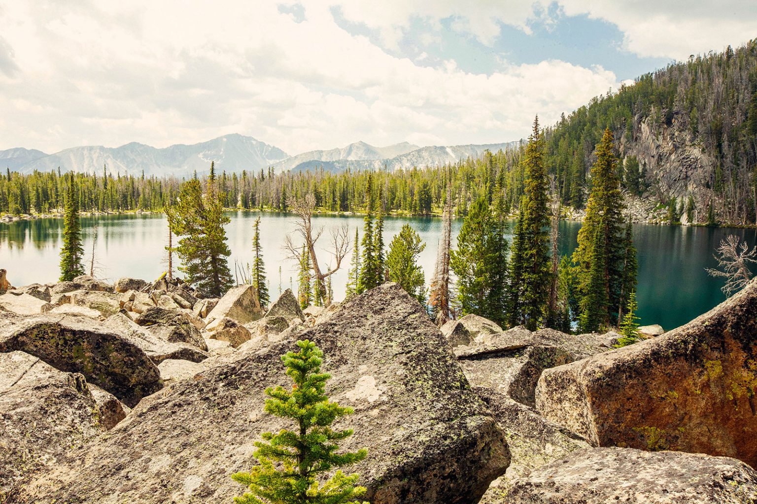 Tobacco Root Mountains Hiking Trails | Backyard Montana