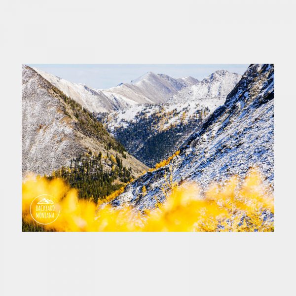 Anaconda-Pintler Wilderness Hiking Trails | Backyard Montana