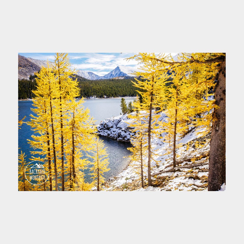 Anaconda-Pintler Wilderness Hiking Trails | Backyard Montana