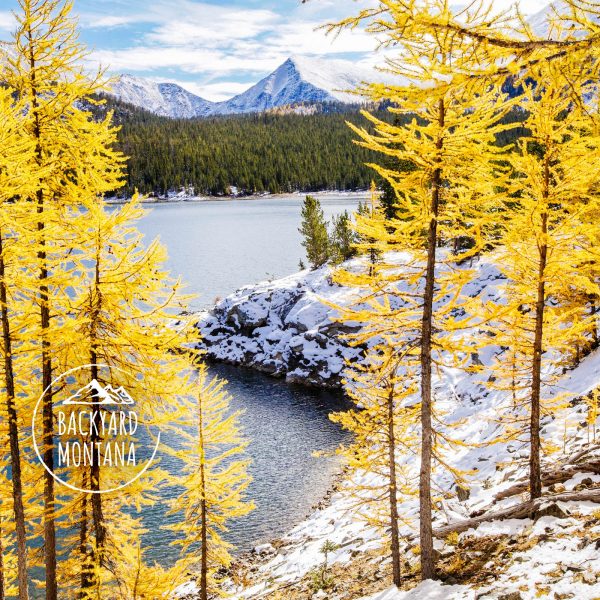 Anaconda-Pintler Wilderness Hiking Trails | Backyard Montana